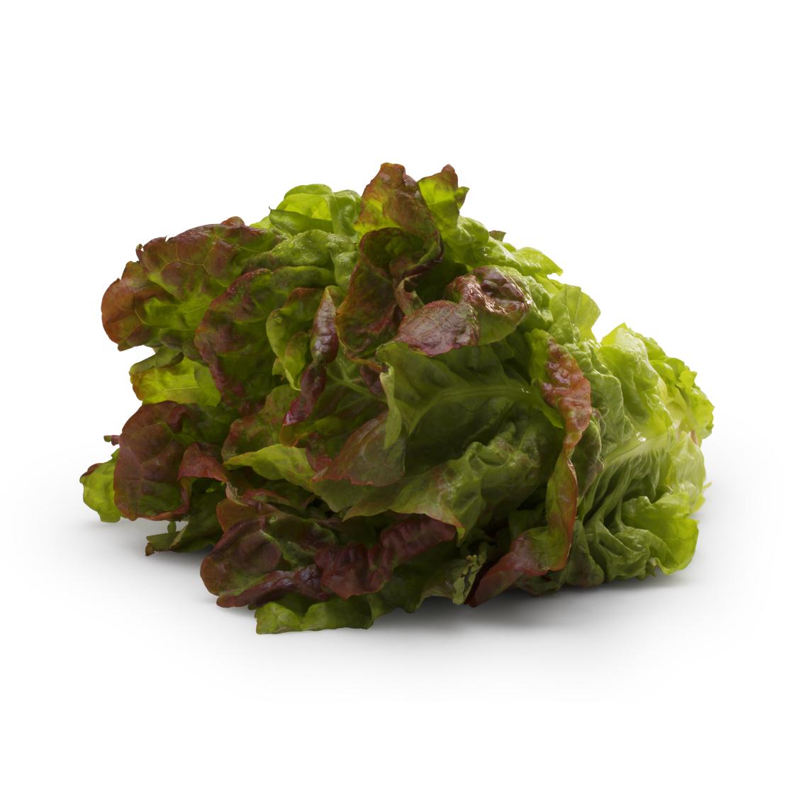 Red Leaf Lettuce - Dole Ireland