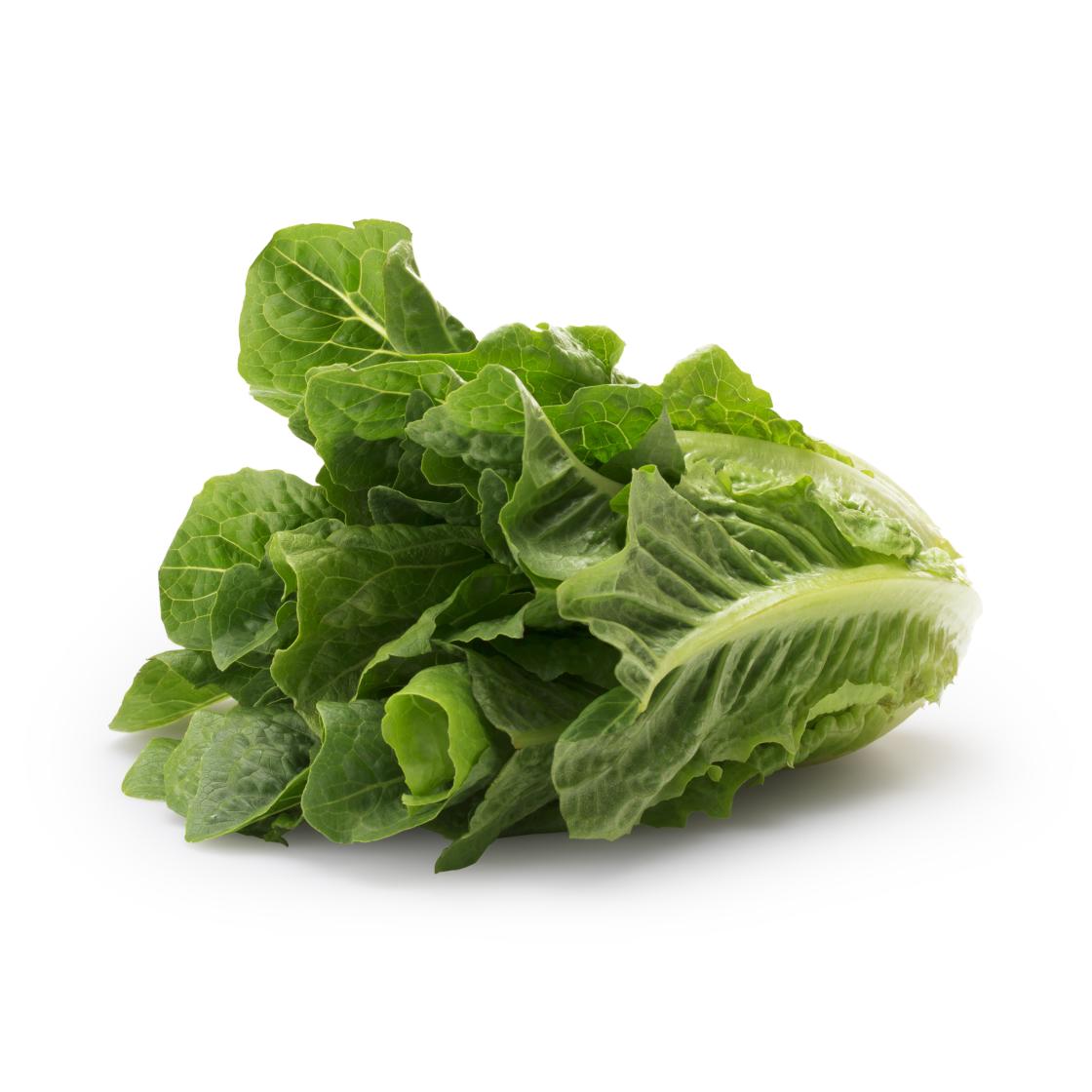 Romaine Lettuce - Dole Ireland