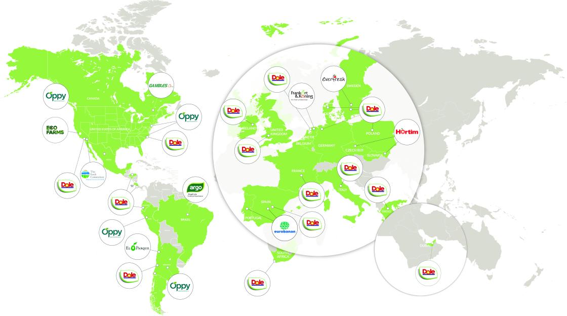 Global - Dole Iberia