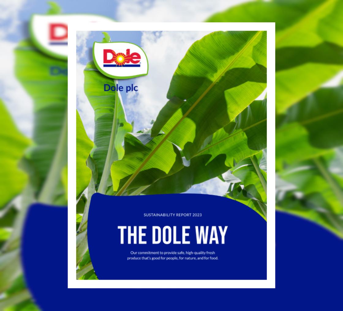 Sustainability Report - Dole UK
