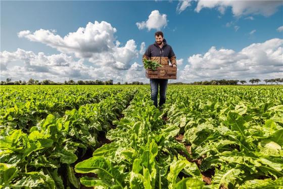 UK Sustainability - Dole UK